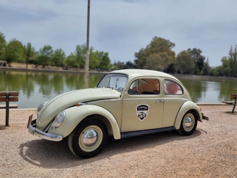 Volkswagen Beetle 1962 | Ariantique